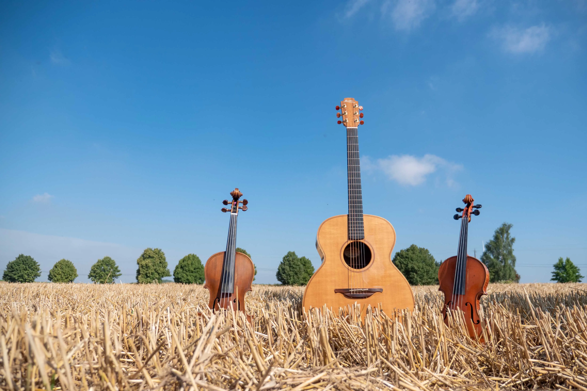 Journée d'ateliers: Musiques & danses traditionnelles de Wallonie - IMEP