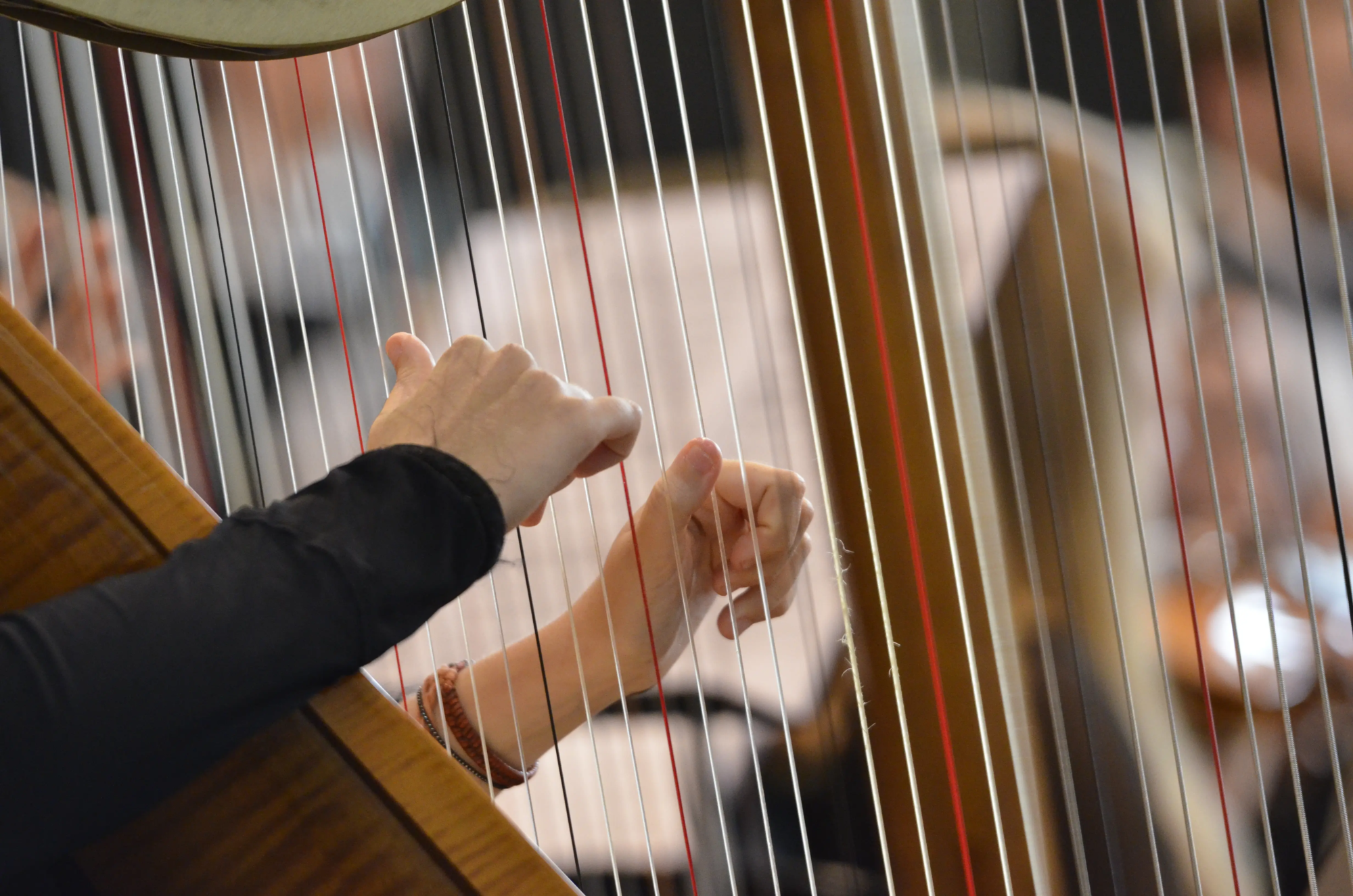 Harpe - IMEP
